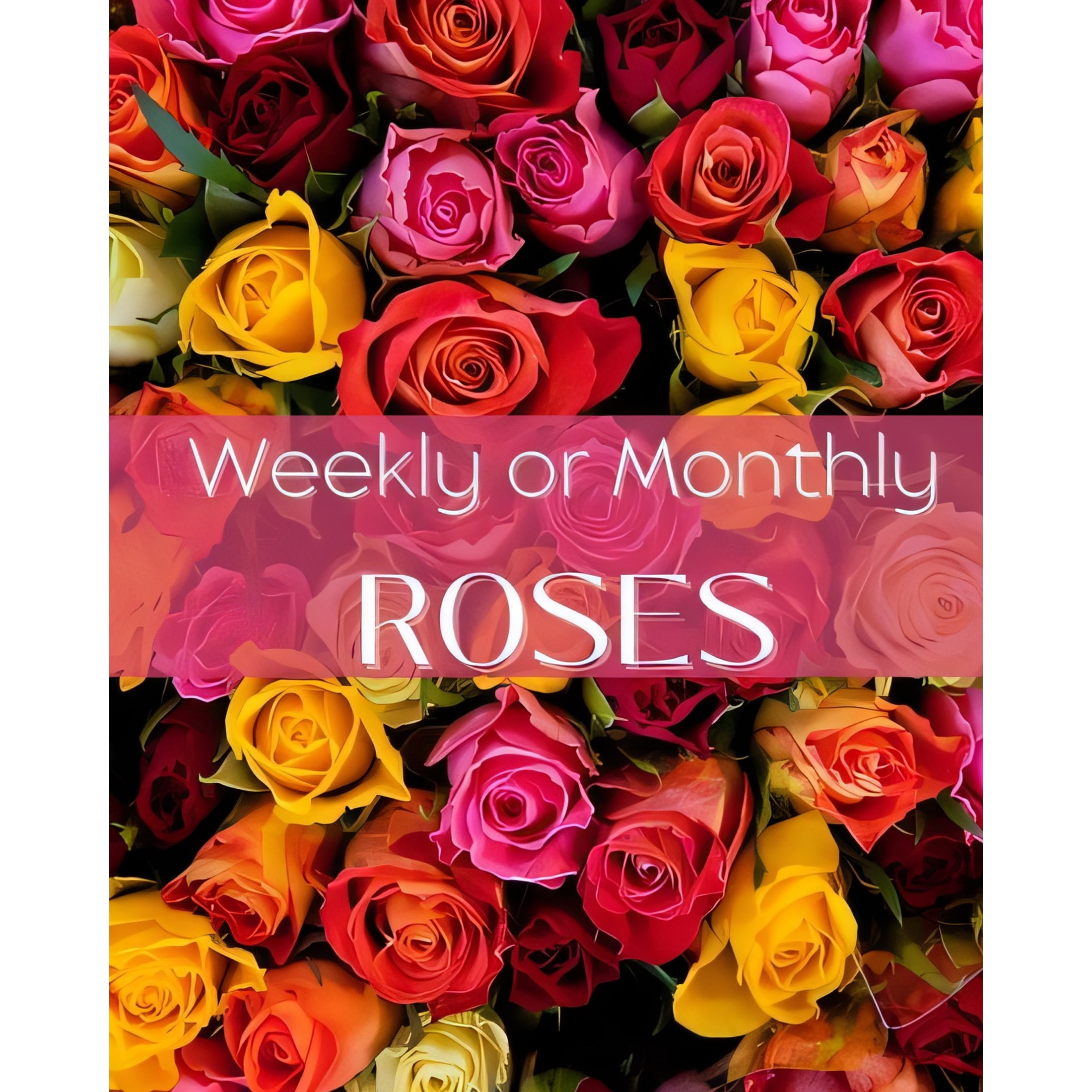 Juamel - Subscription Rose Arrangement - Premium - Walmart.com