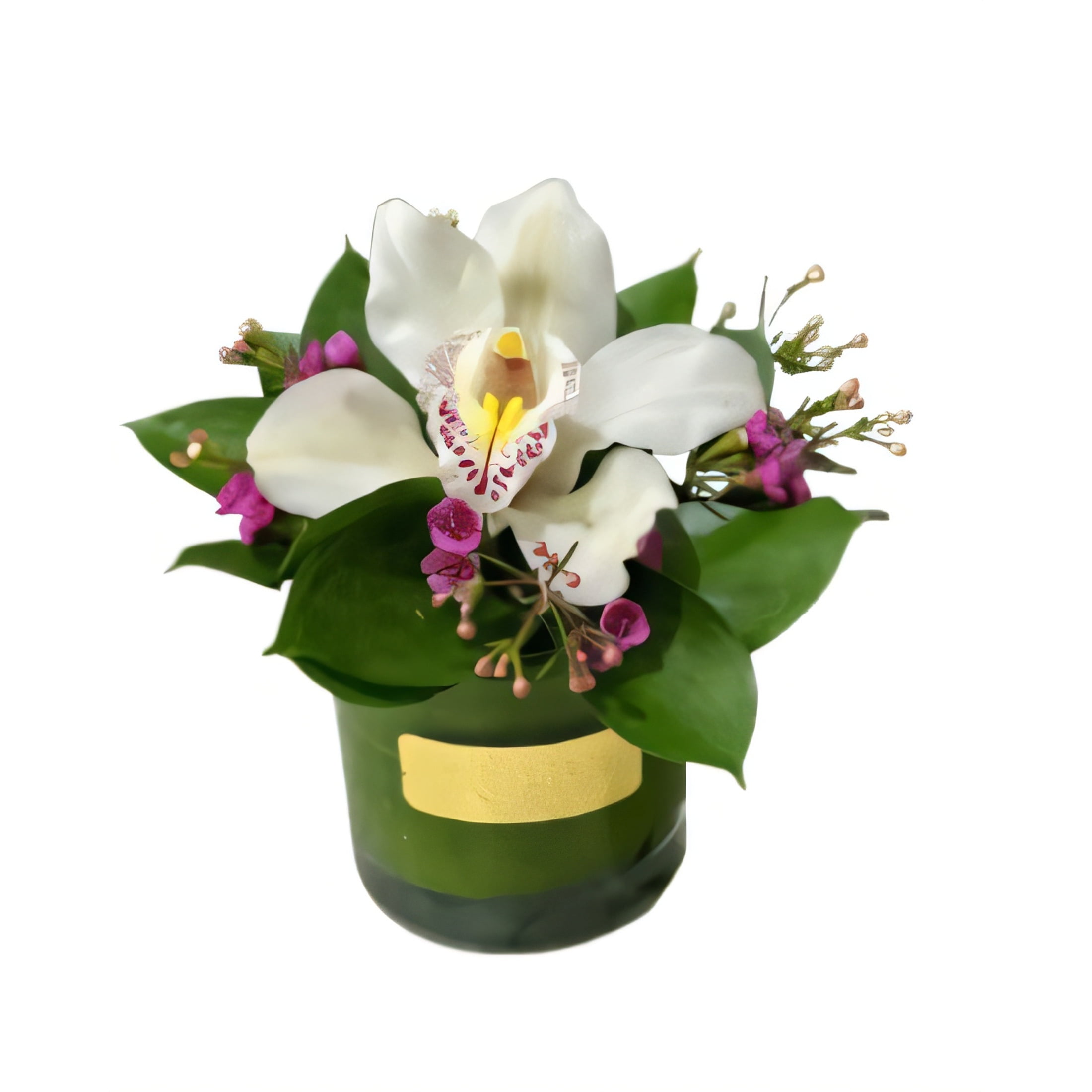 Juamel - a Single Bloom (White) - Standard - Walmart.com