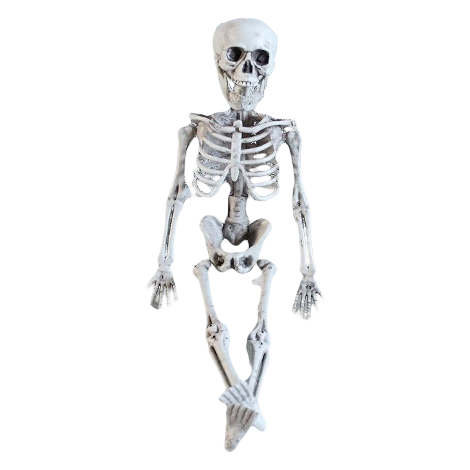 Jubilant Halloween Skeleton Decoration Realistic Plastic Human Bone ...