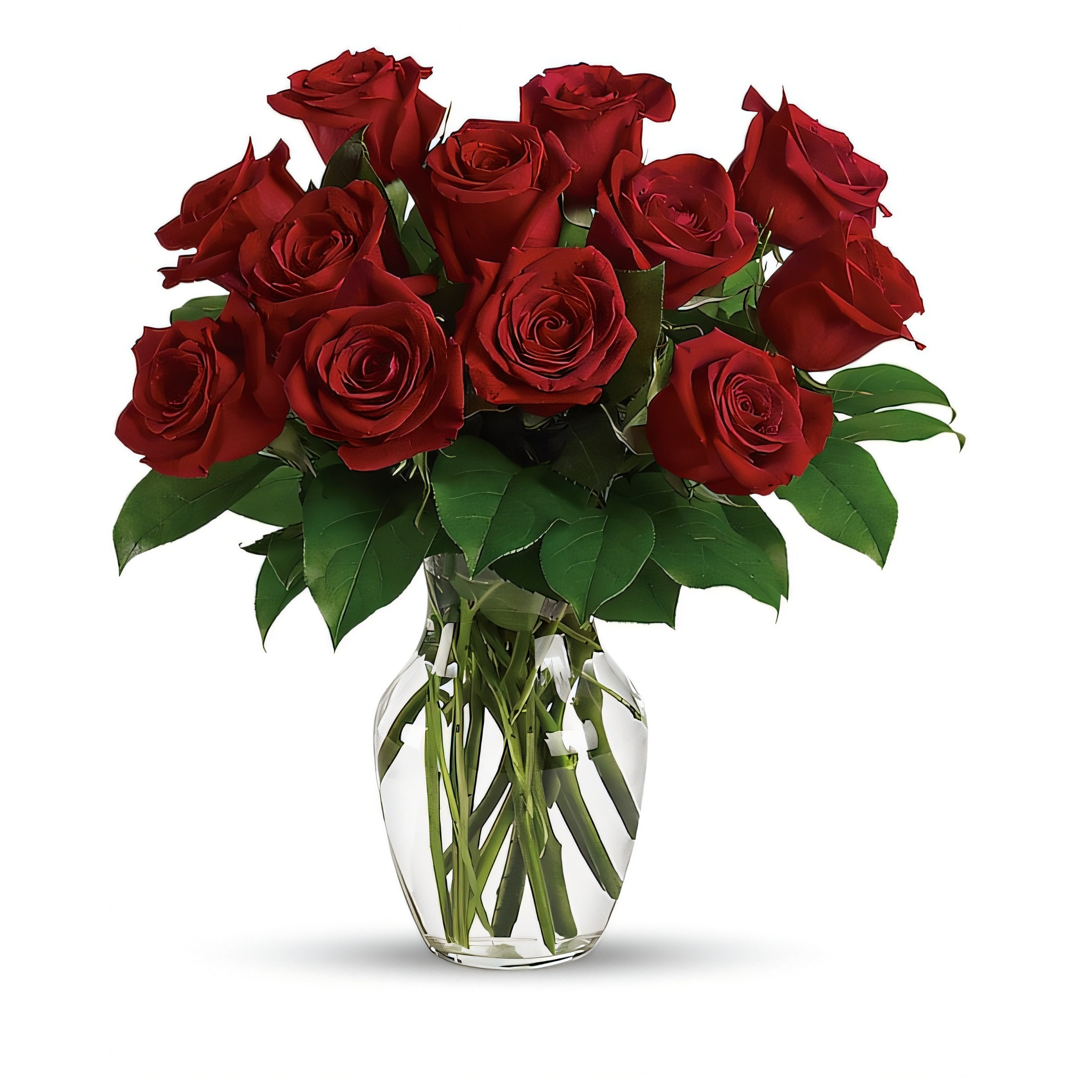 Flowers by Judith - Enduring Passion - 12 Red Roses - Standard ...