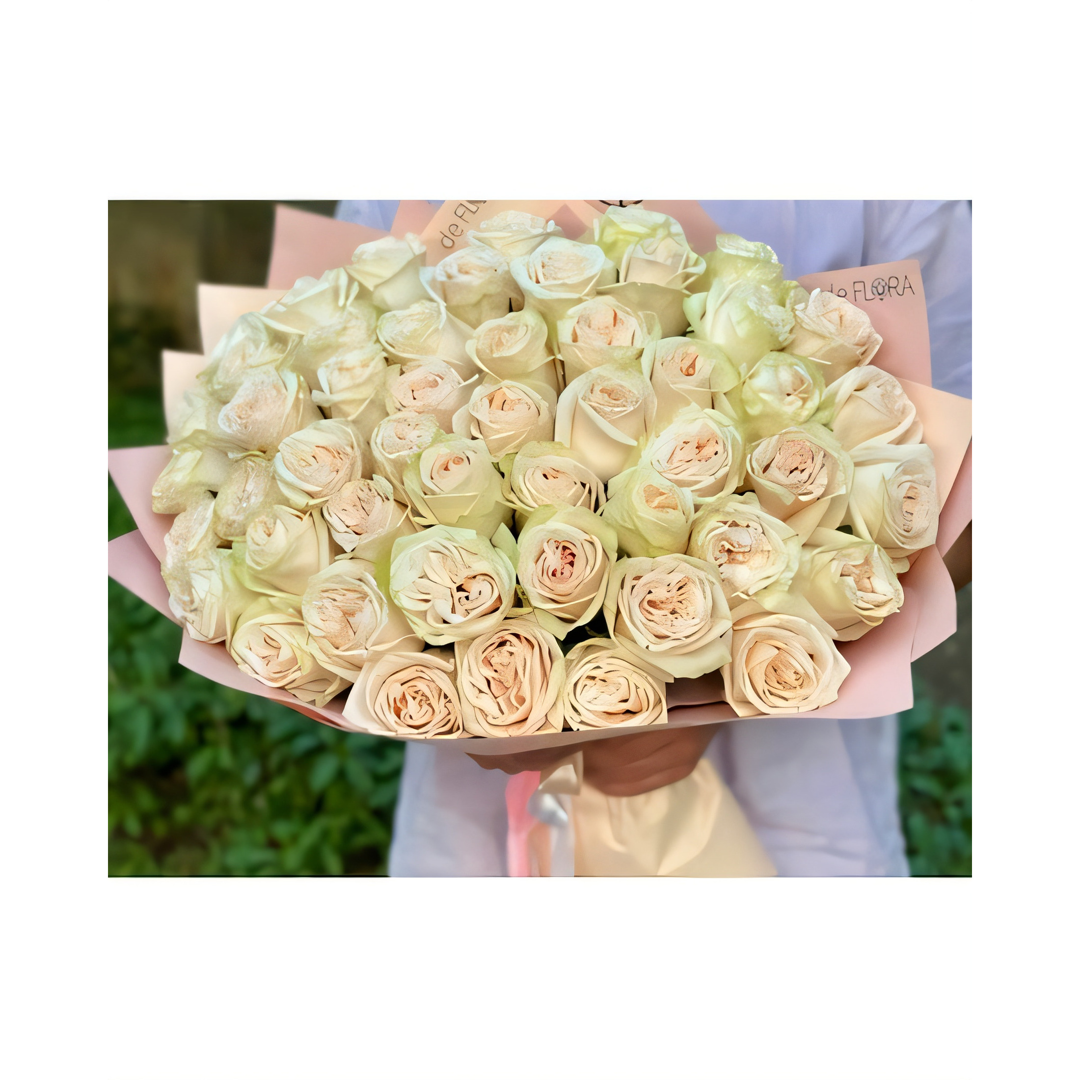 Flowers by Judith - Hand Wrapped White Roses - 12 - Walmart.com