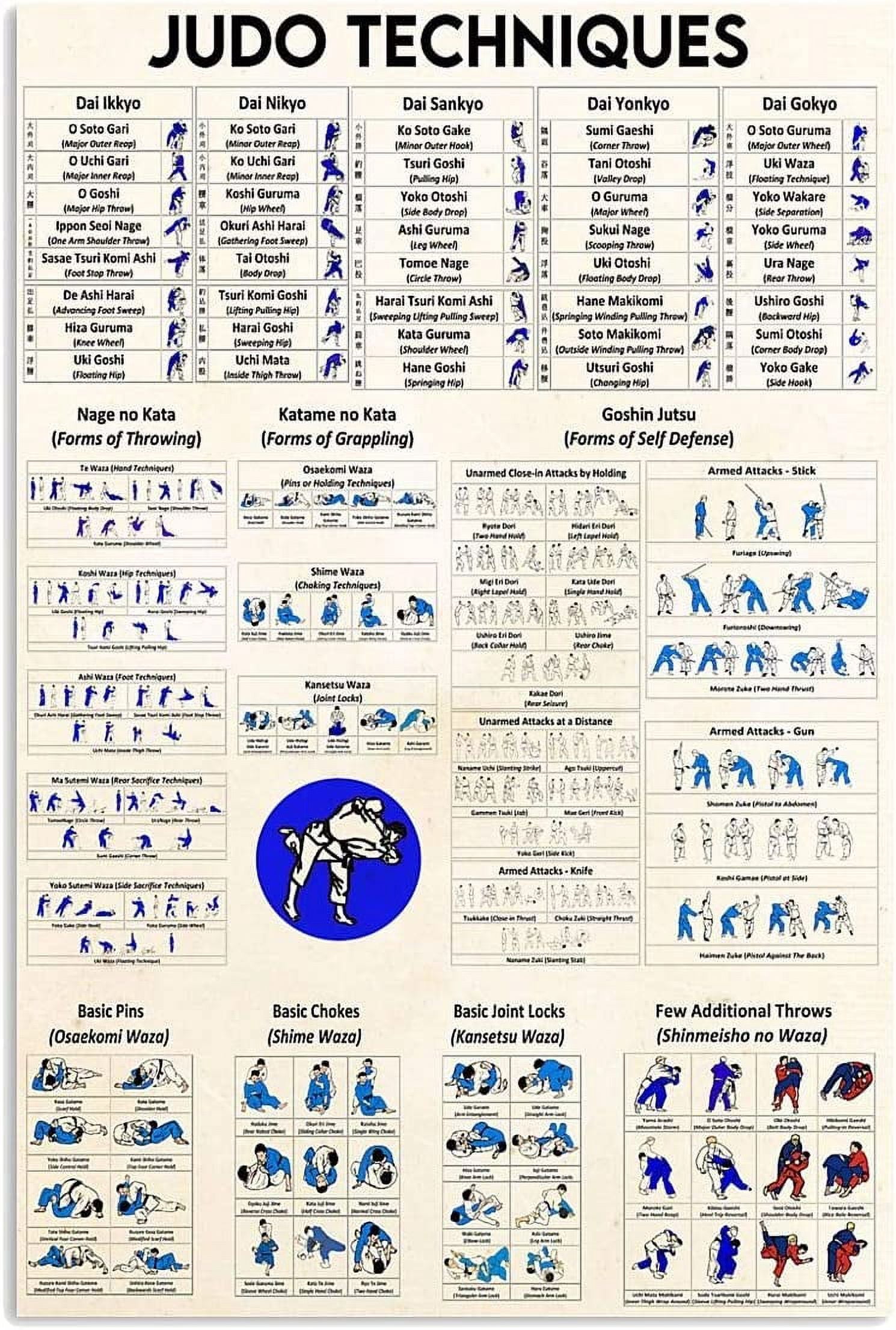 Judo Techniques Guide Metal Aluminium Sign Vintage Martial Arts Hall Decor Judo Knowledge Tin ...