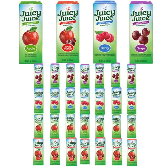Juicy Juice Box