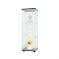 Juiluna Modern Glass Display Cabinet With Clear Door Floor Standing 3 ...
