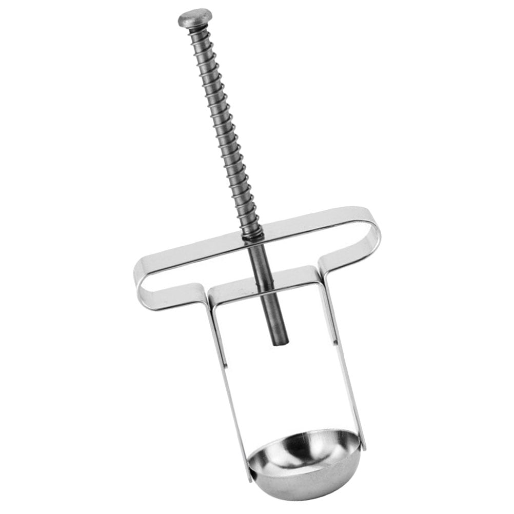 Jujube Corer Red Date Core Pitter Cherry Pitter Tool Olive Stuffer Tool ...