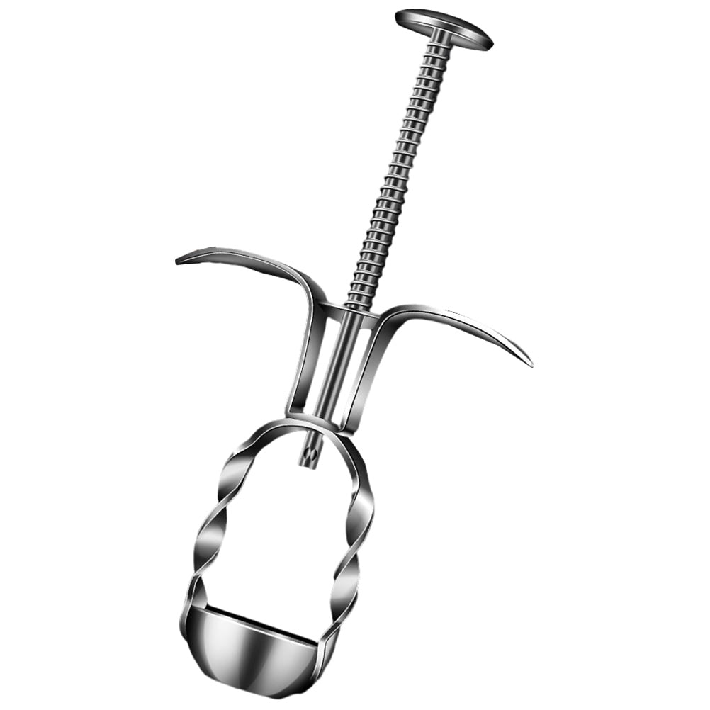 Raindrops Portable Stainless Steel Cherry Pitter Tool for Removal at ...