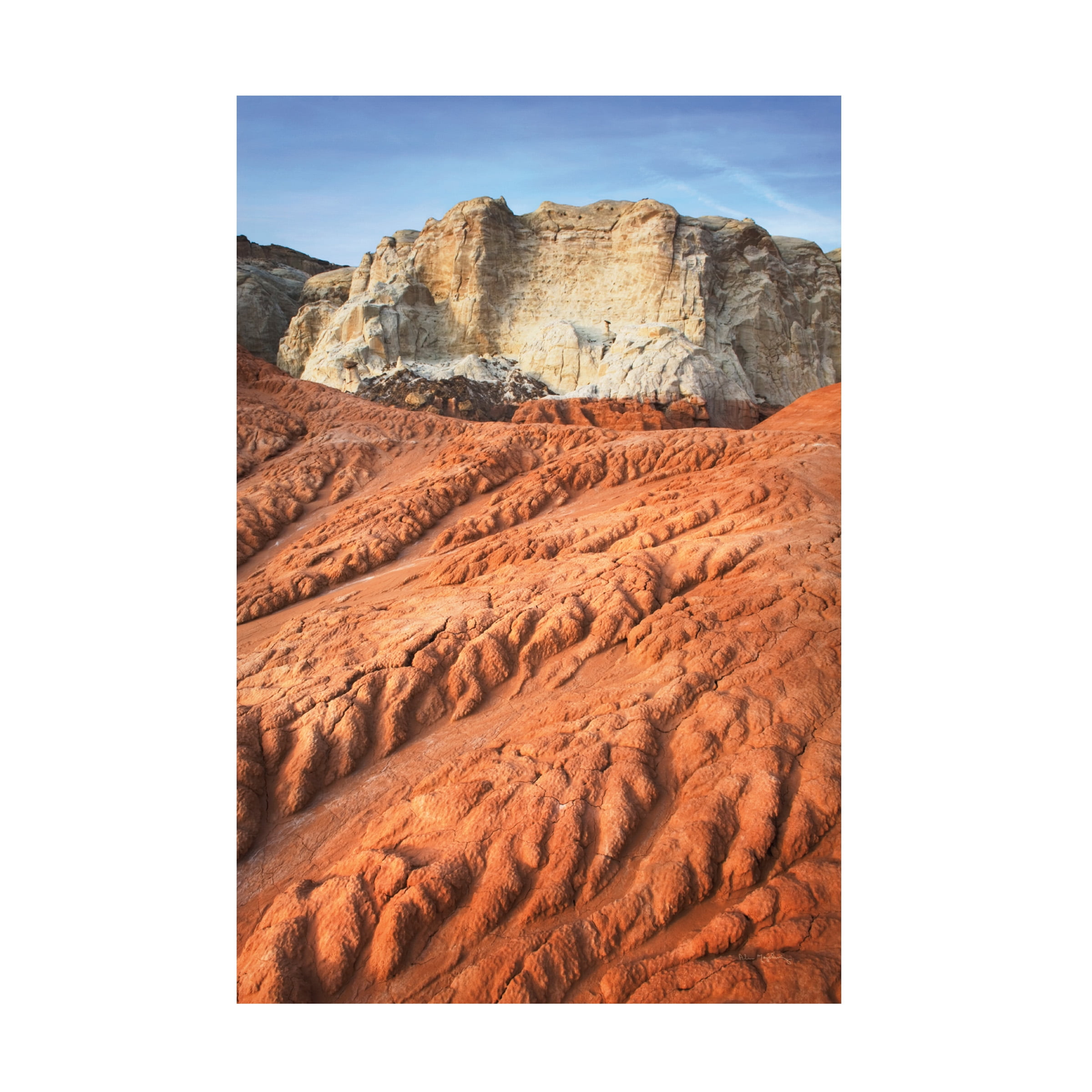 Julia Purinton 'Cotton Still Life III Blue' Canvas Art - Walmart.com