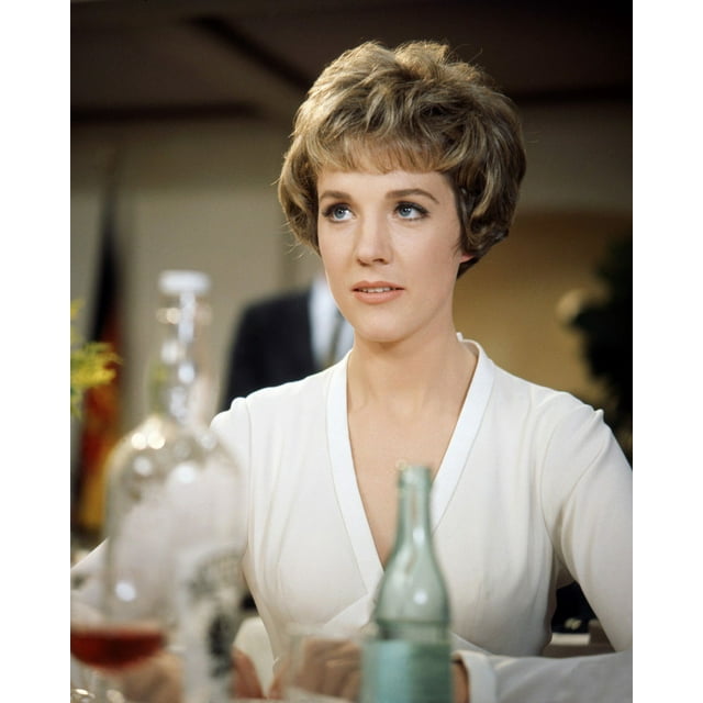 Julie Andrews 24X36 Classic Hollywood Poster - Walmart.com