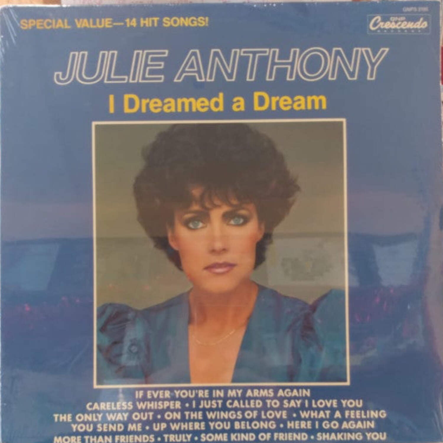 Julie Anthony - I Dreamed a Dream (LP, Album) (Mint (M)) - Walmart.com