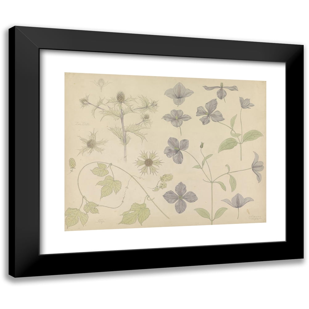 Julie de Graag 14x12 Black Modern Framed Museum Art Print Titled ...