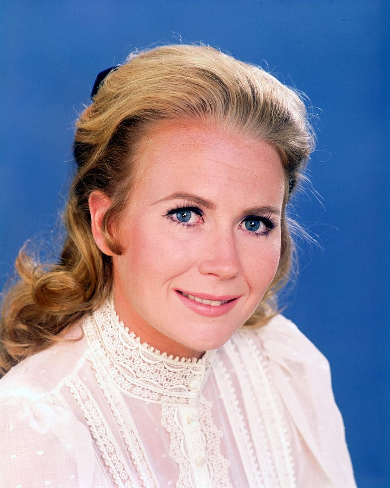Juliet Mills 24X36 Classic Hollywood Poster Nanny And The Professor ...