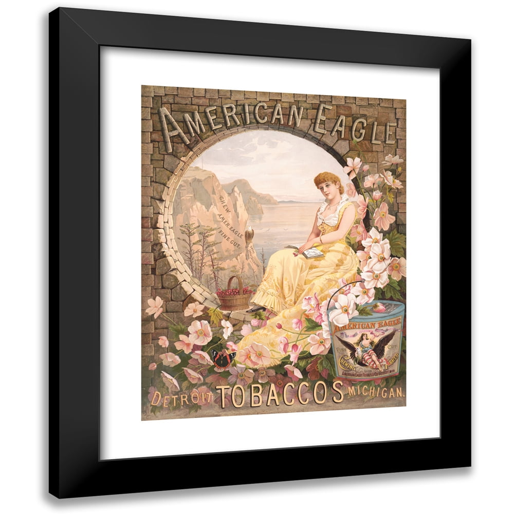 Julius Bien 19x24 Black Modern Framed Museum Art Print Titled ...