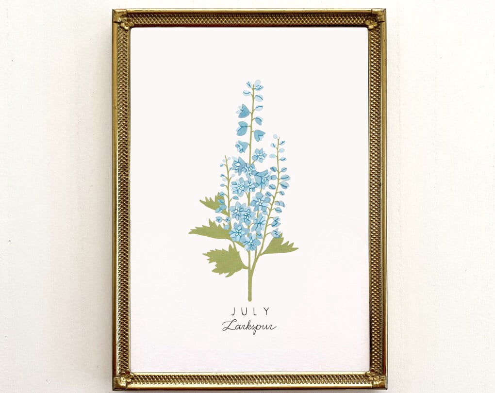 July Birth Flower Print, July Birth Month Flower, Larkspur Flower ...