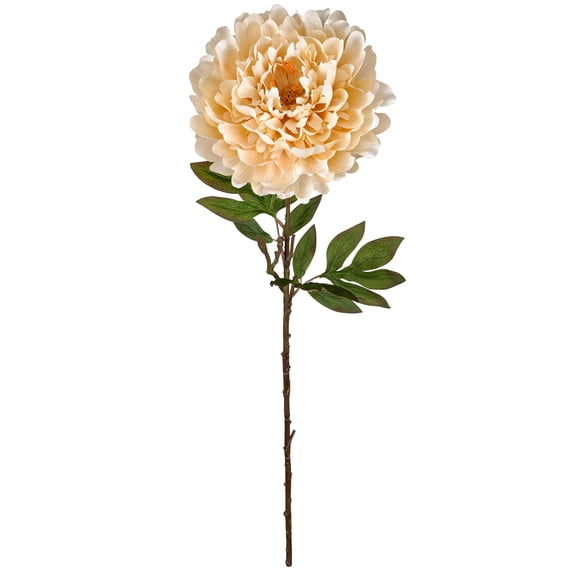 Ashland Jumbo Cream Peony Stem - Walmart.com