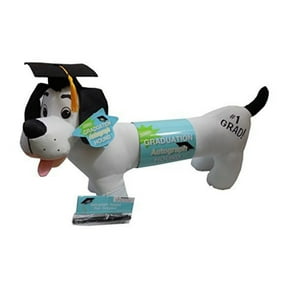 Autograph Graduation Dog