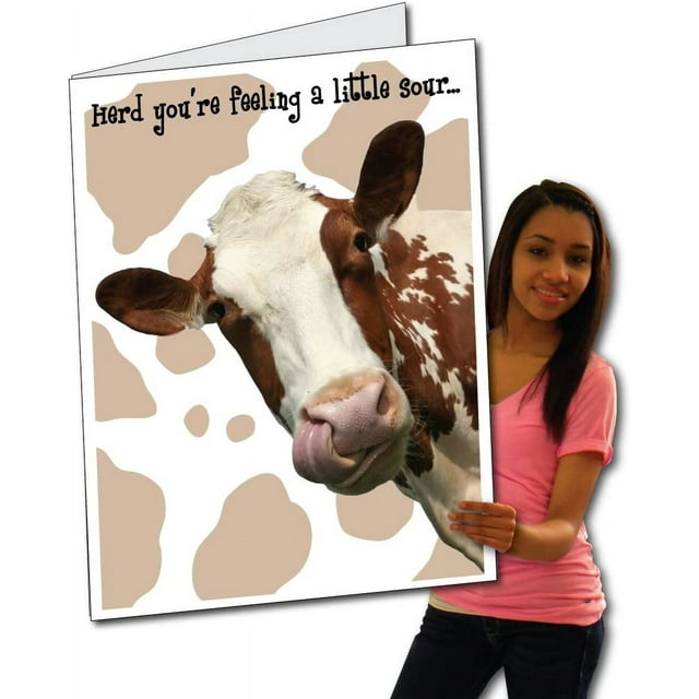 Jumbo Greeting Cards: Giant Get Well Card (Cow), 2 feet x 3 feet Card ...