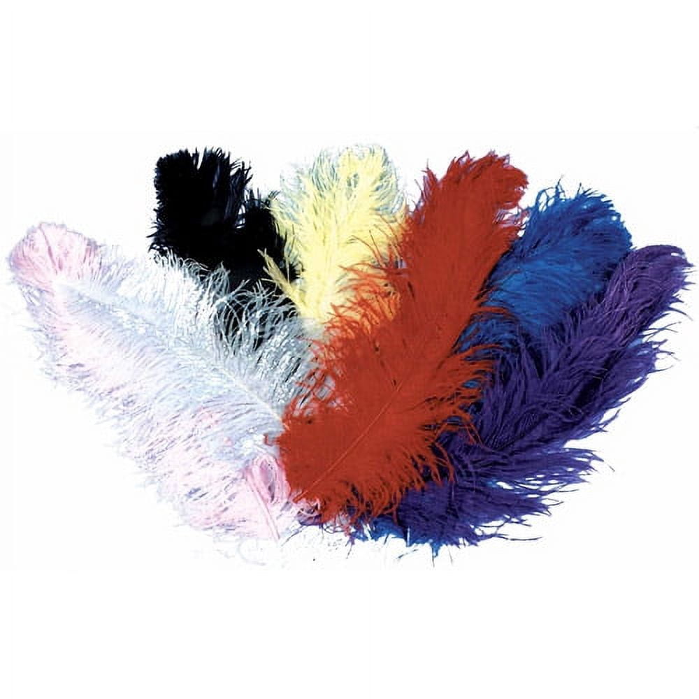 Jumbo Ostrich Plumes Adult Halloween Accessory - Walmart.com