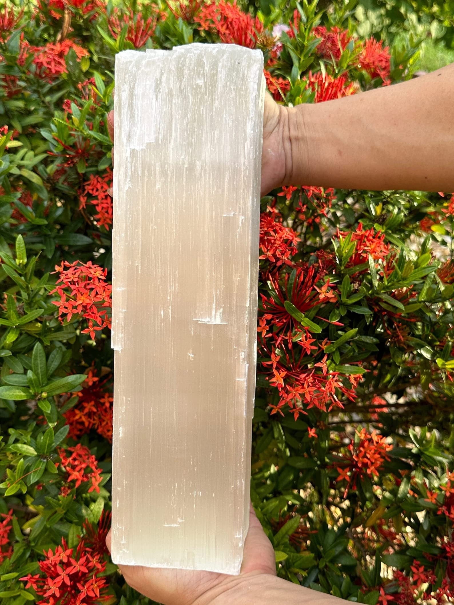 Jumbo Selenite Log, Natural White Crystal Huge Selenite Log, Giant Raw ...