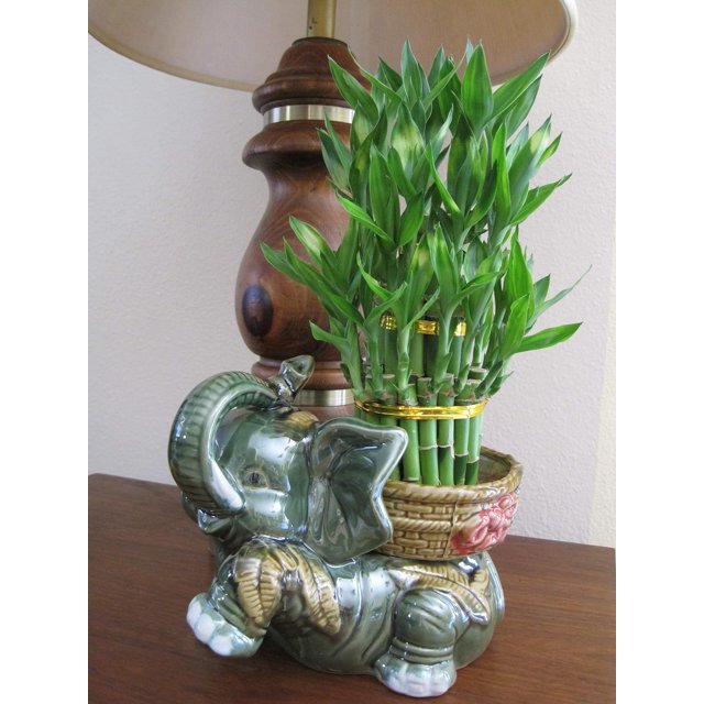 Jumbo Size Elephant Ceramic Vase With 3 Tier 4" 6" 8" Quality Plant ...