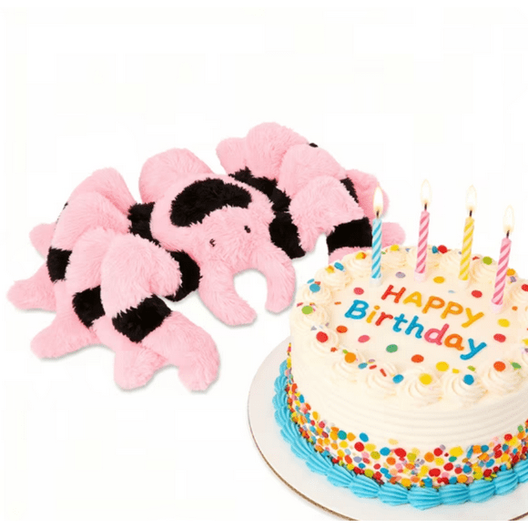 Tarantula Standing Tall