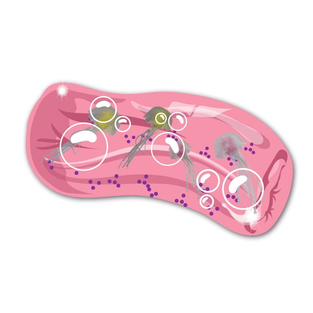 Jumbo Wiggly Jiggly Jellyfish – Large Squishy Water Snake Toy by ...