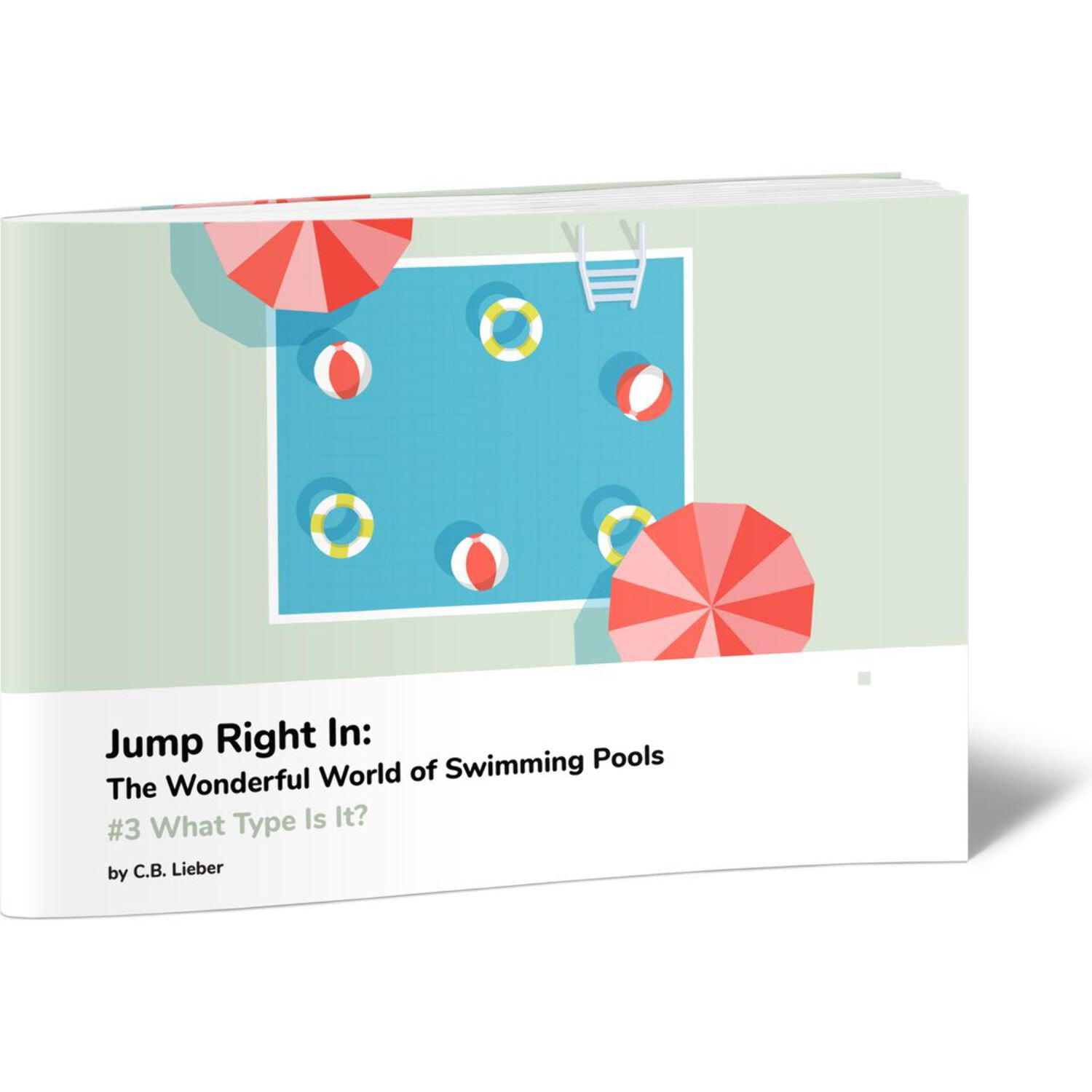 Jump Right In #3 What Type Is It? - Walmart.com