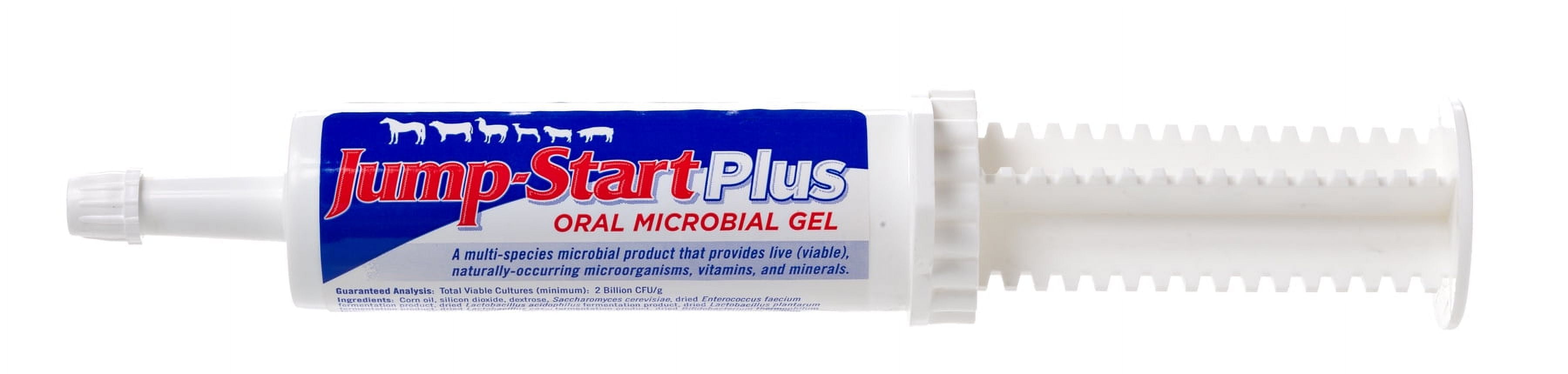 Jump Start Plus Multi-Species Oral Microbial Gel - Walmart.com