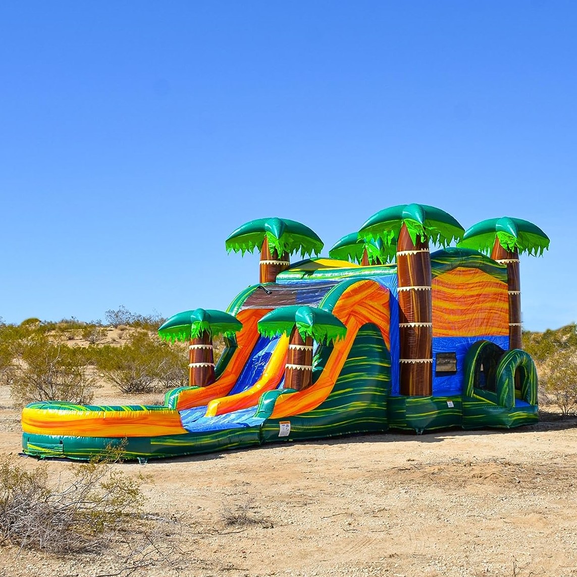 JumpOrange Commercial Grade Blow Inflatable Water Slide with Pool (with ...