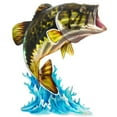 Jumping Bass Wall Art - Walmart.com