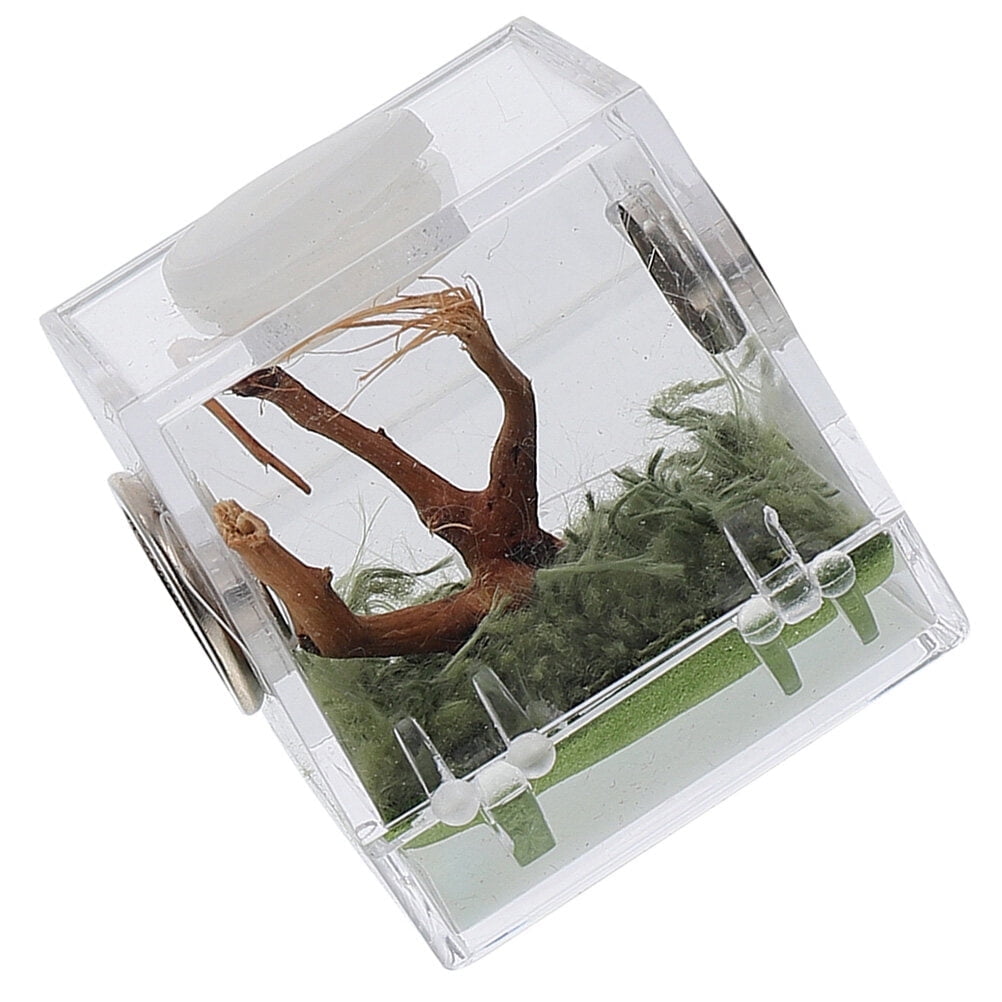 Jumping Spider Breeding Box Reptile Small Glass Containers Acrylic ...