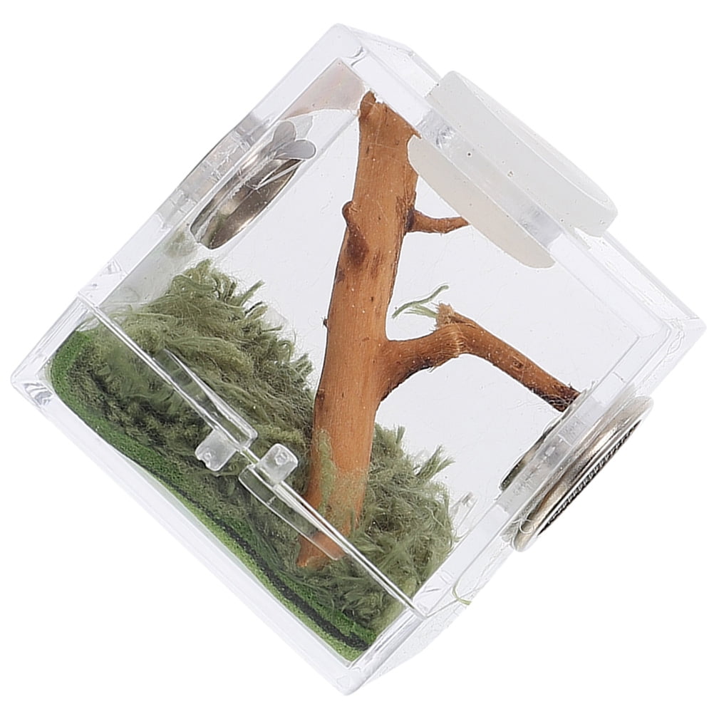 Jumping Spider Breeding Box Small Glass Container Terrarium Containers ...