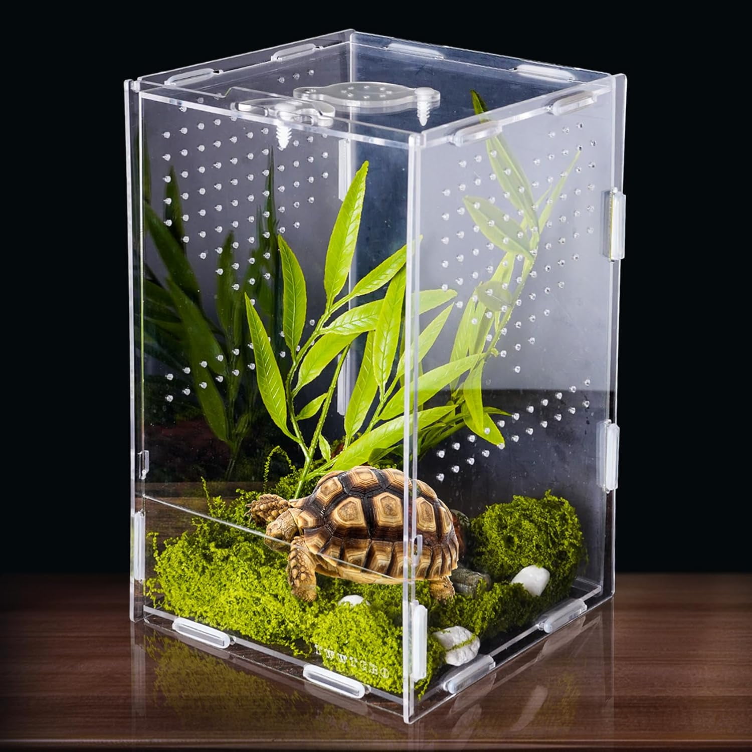 Jumping Spider Enclosure, Acrylic Insect Terrarium, Bug Enclosure ...