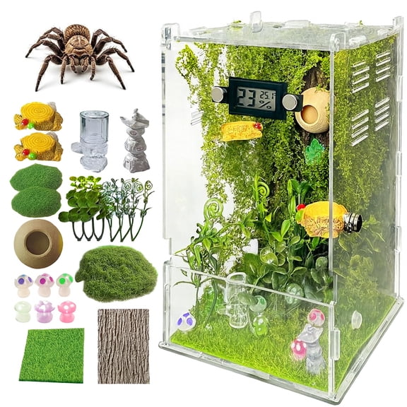Spider Terrarium