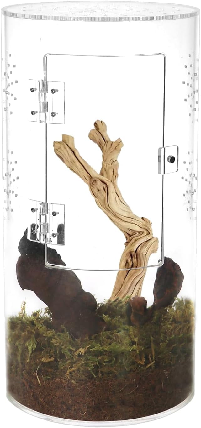 Jumping Spider Enclosure with Front Opening Door Micro Habitat ...