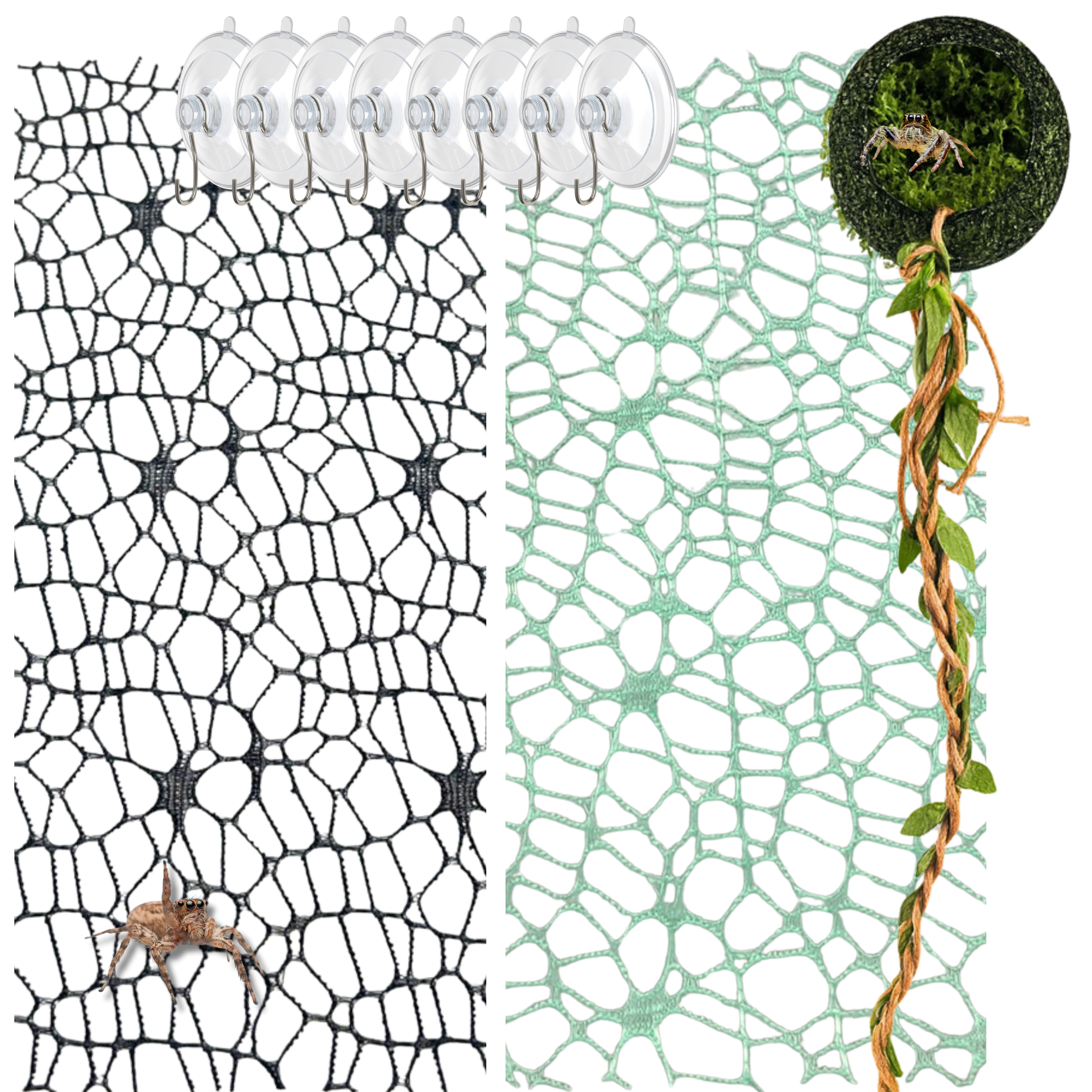 Jumping Spider Tarantula Enclosure Climbing Net Decor with Rope Bridge ...