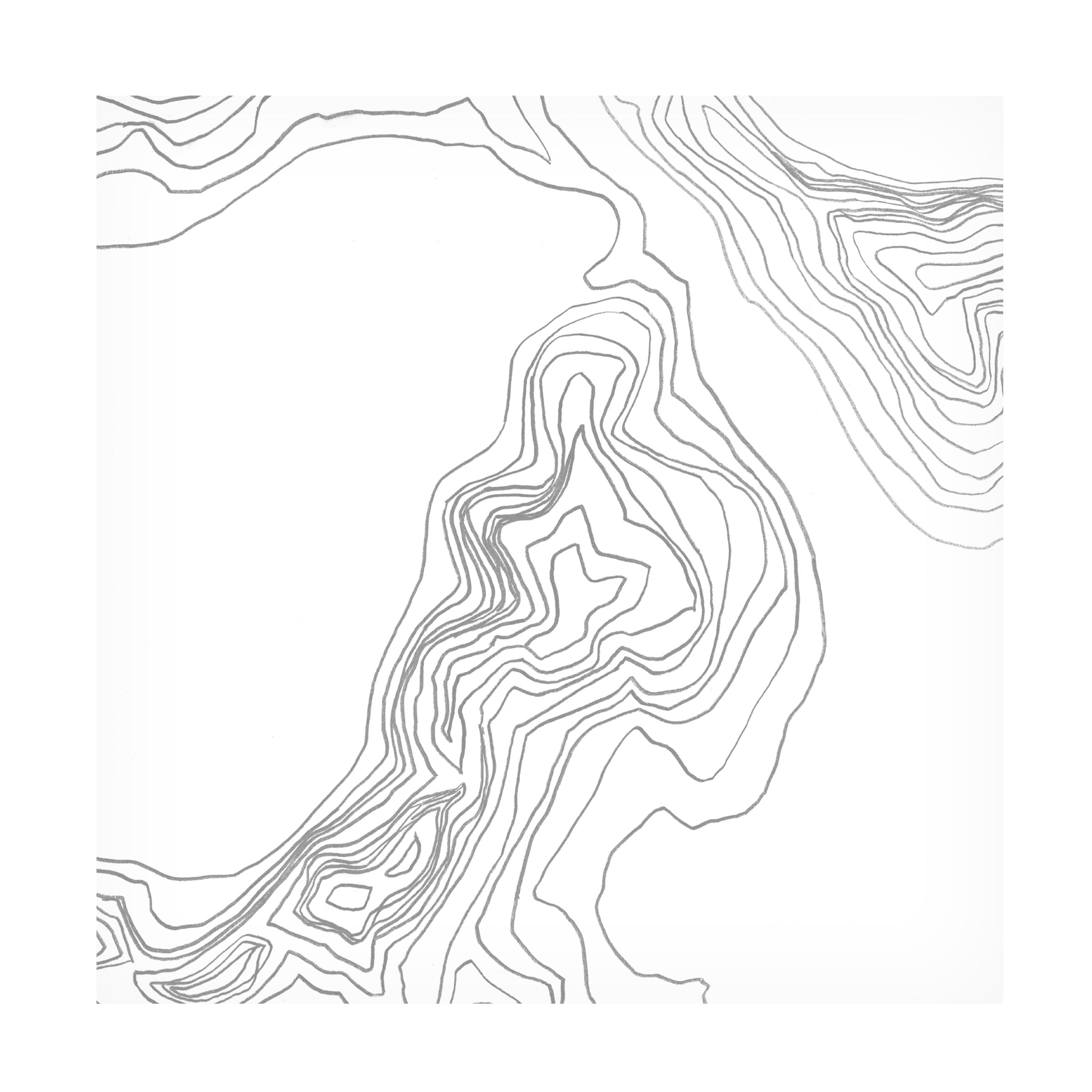 June Erica Vess 'Topography Contour III' Canvas Art - Walmart.com