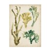 June Erica Vess 'Geode Coast I' Canvas Art - Walmart.com