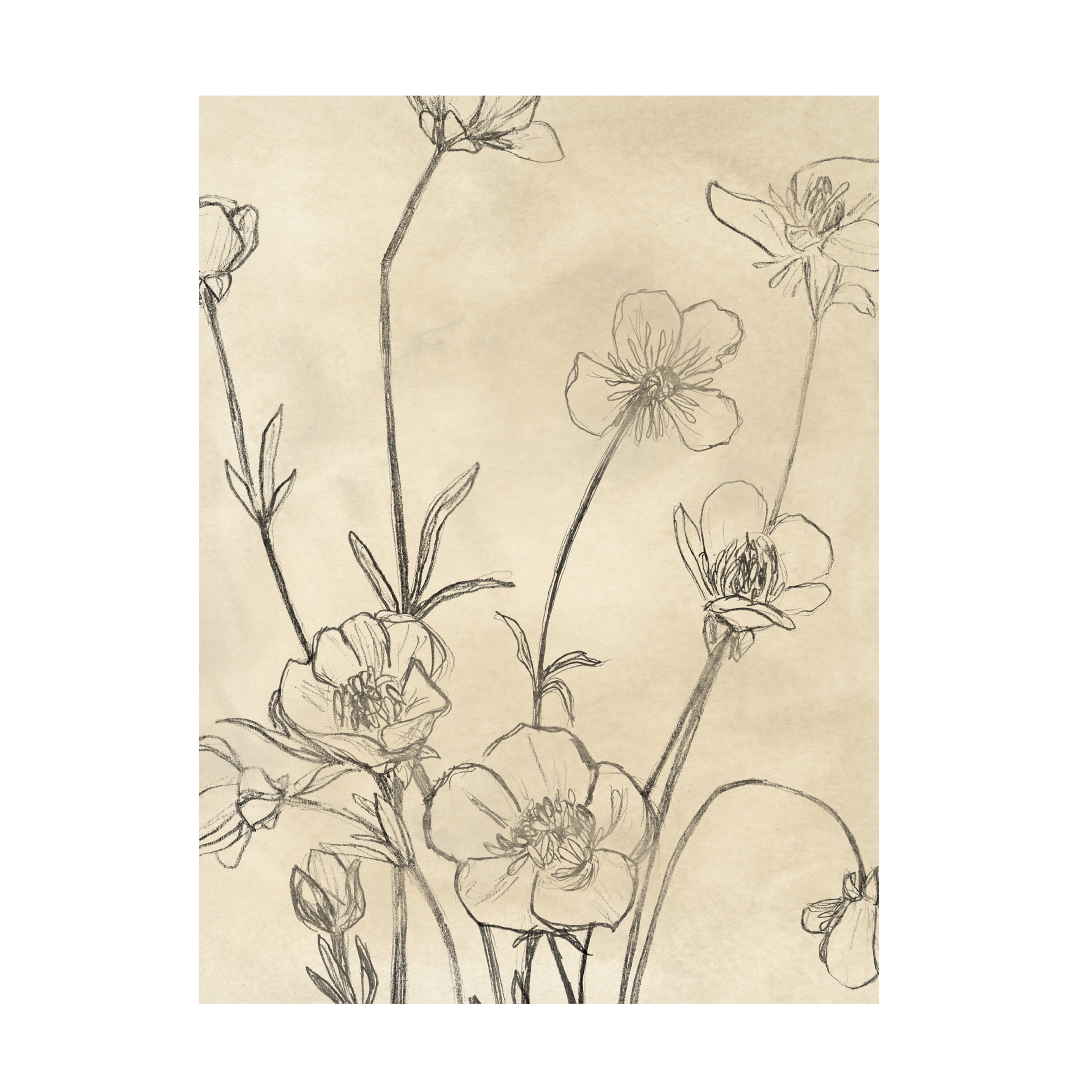 Free Shipping! Trademark Fine Art June Erica Vess Vintage Wildflowers I ...