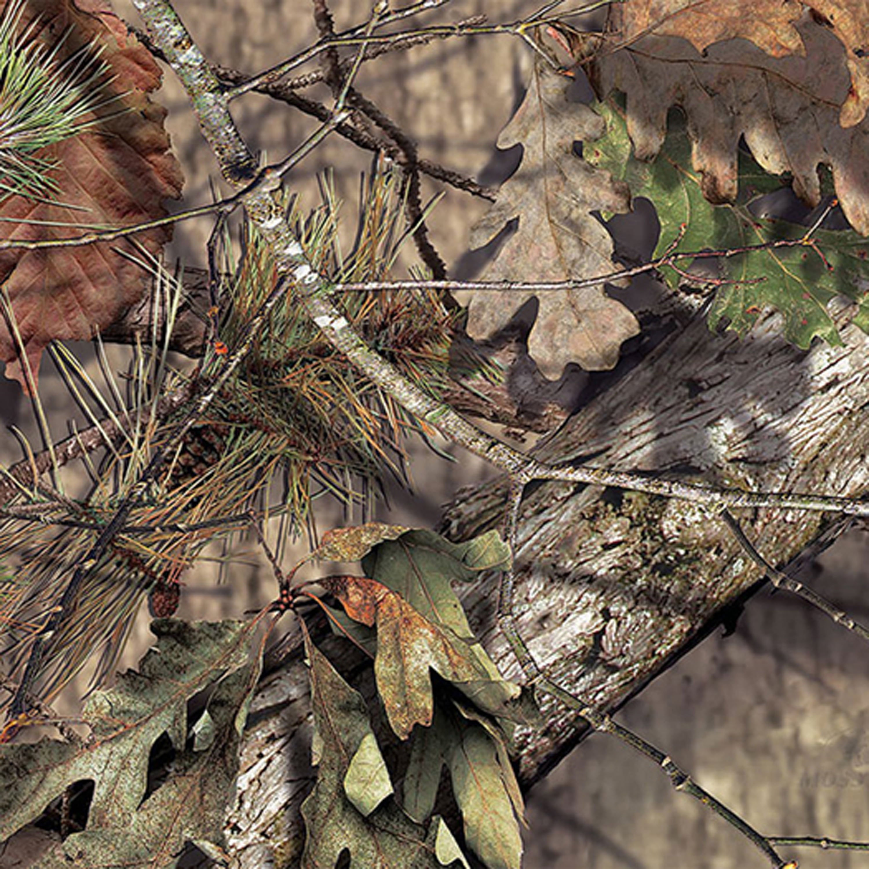 Mossy Oak Breakup Camo Wallpaper
