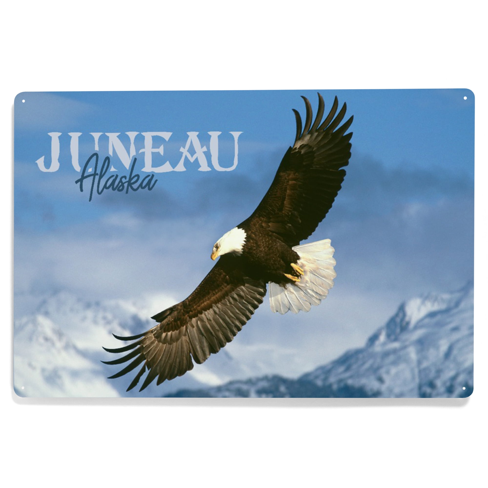 Juneau, Alaska, Eagle Soaring (12x18 Aluminum Art, Indoor Outdoor Metal ...