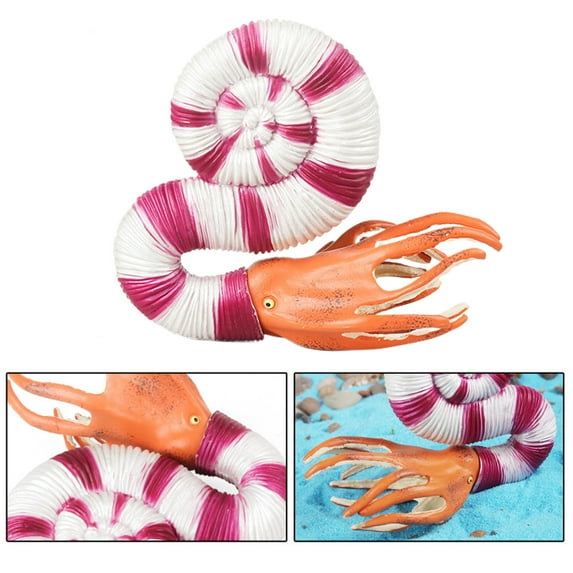 Junepar Cambrian Animal Figurine Sigmoid Curved Ammonite Prehistoric ...