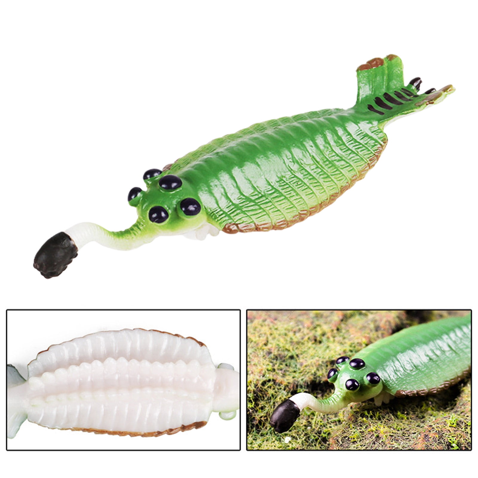 Junepar Prehistoric Sea Cambrian Creatures Figurine Opabinia Ocean ...