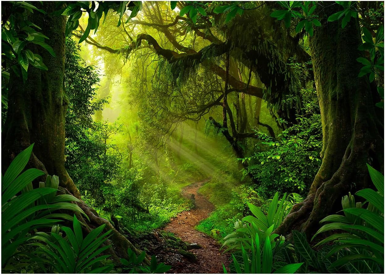 Jungle Backdrop Jungle Theme Backdrop Rainforest Backdrop Forest ...