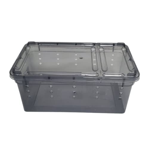 Jungle Bob - Black Plastic Reptile Terrarium - Easy Transport - Snake ...