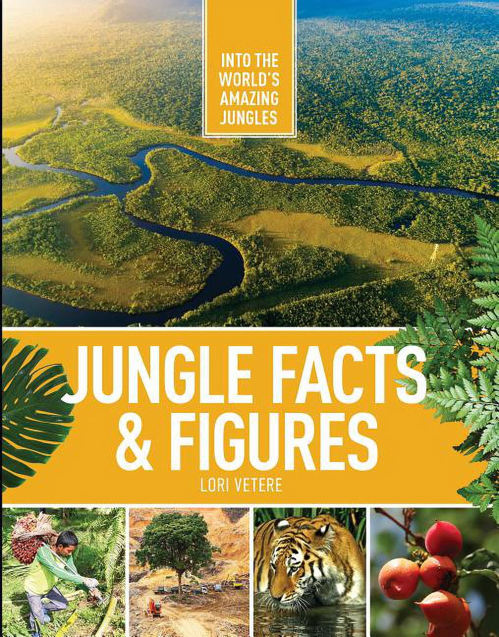 Jungle Facts & Figures - Walmart.com
