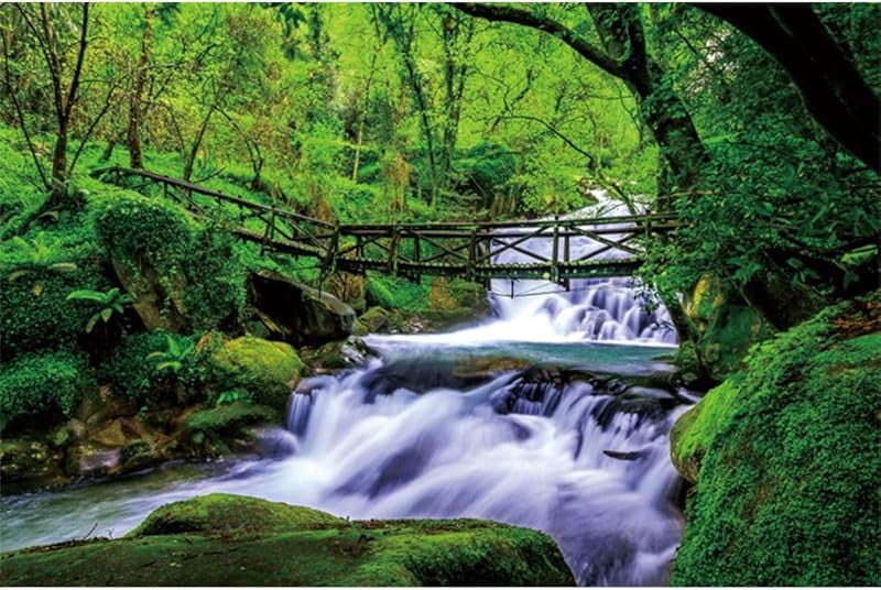 Jungle Flowing Stream Forest Waterfall Backdrop Tropical Rainforest ...