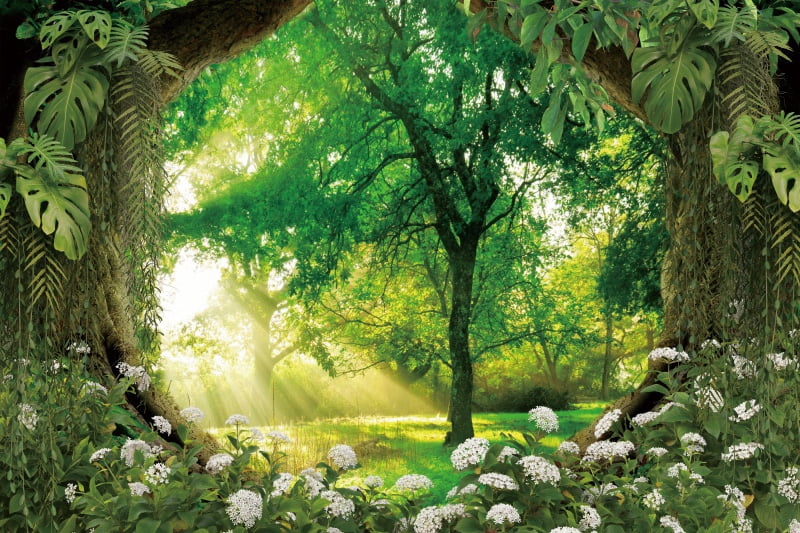 Jungle Forest Photography Backdrop Spring Green Wonderland Trees Plant ...