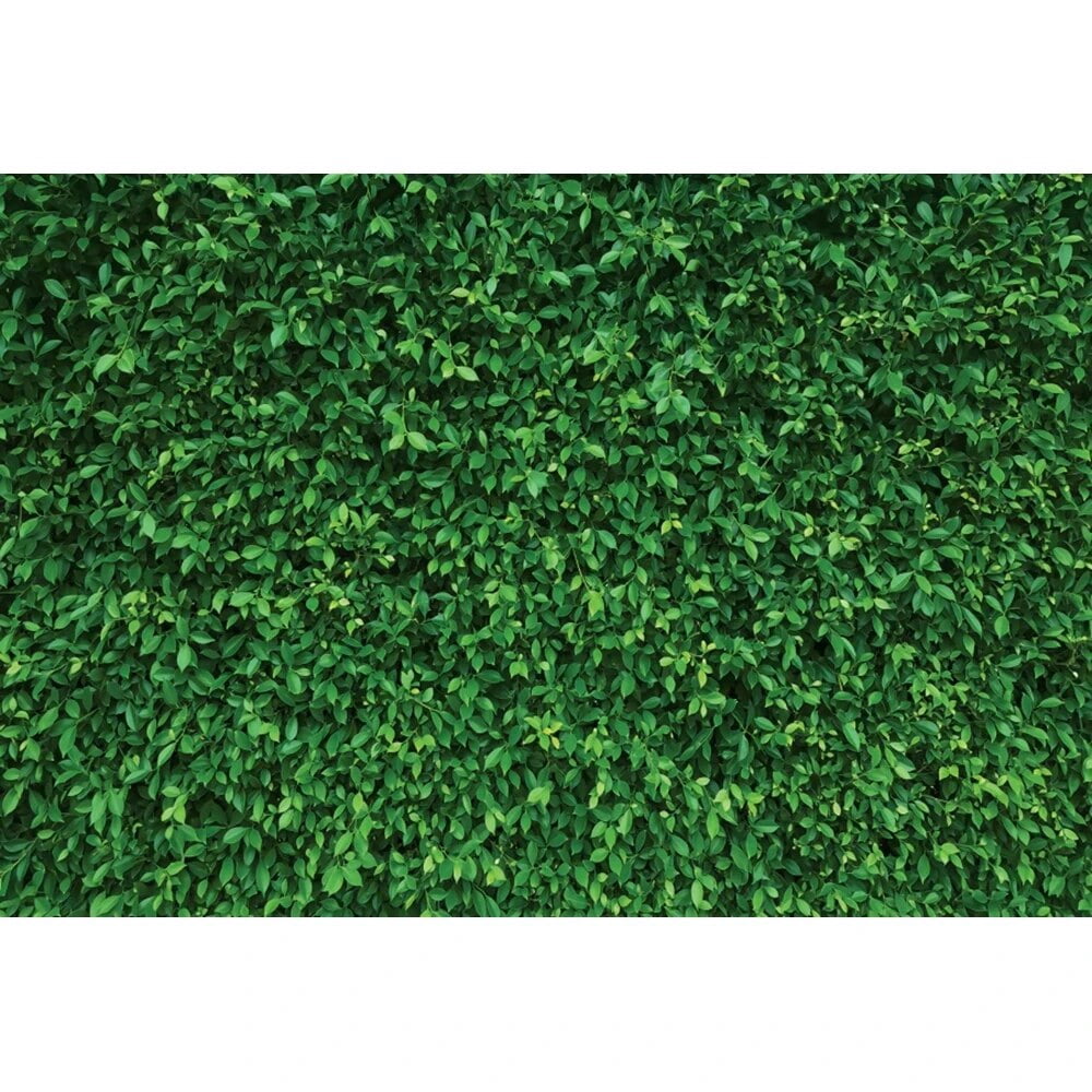 Jungle Safari Baby Birthday Party Backdrop Green Leaves Grass Baby ...