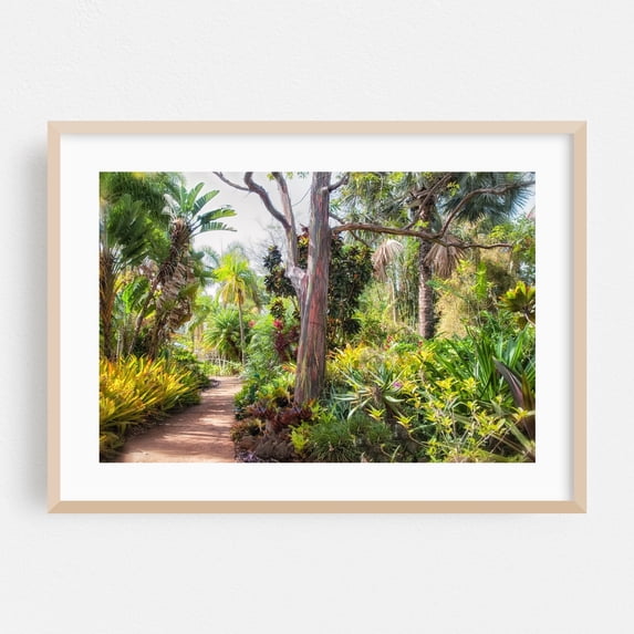 Jungle Trail - Photography Tropical Garden Botanical Nature Scenic ...