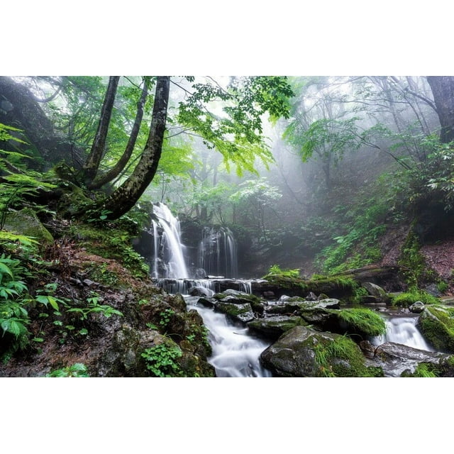 Jungle Waterfall Natural Landscape Backdrop Forest Mountains River Room ...